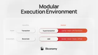 How Modular Execution Environments arr changing Future of Blockchain?